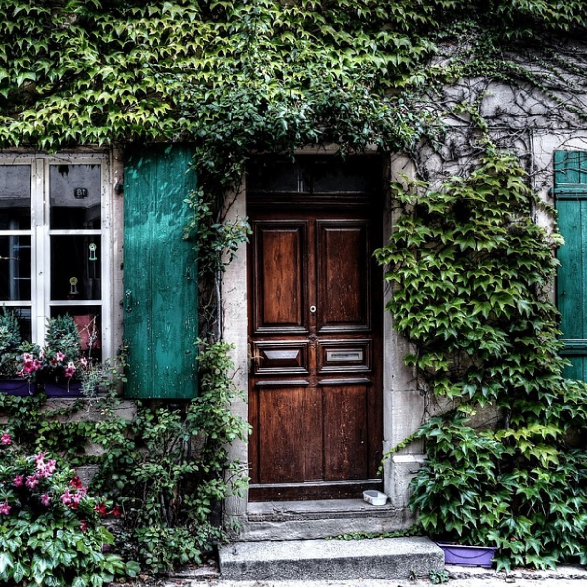 Ivy is it Good or Bad • Garden Consumers